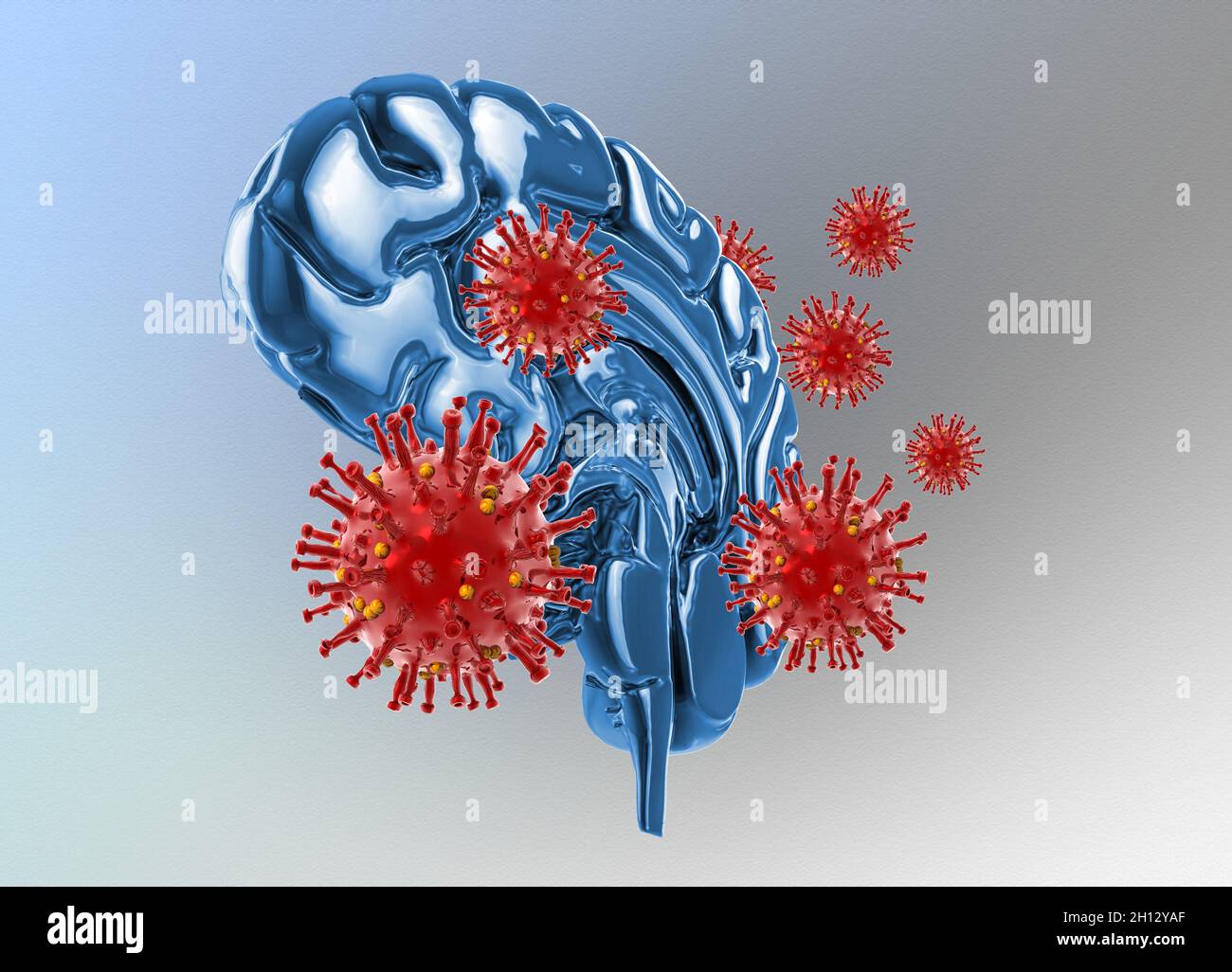 Covid-19 virus affecting the brain, conceptual illustration Stock Photo ...