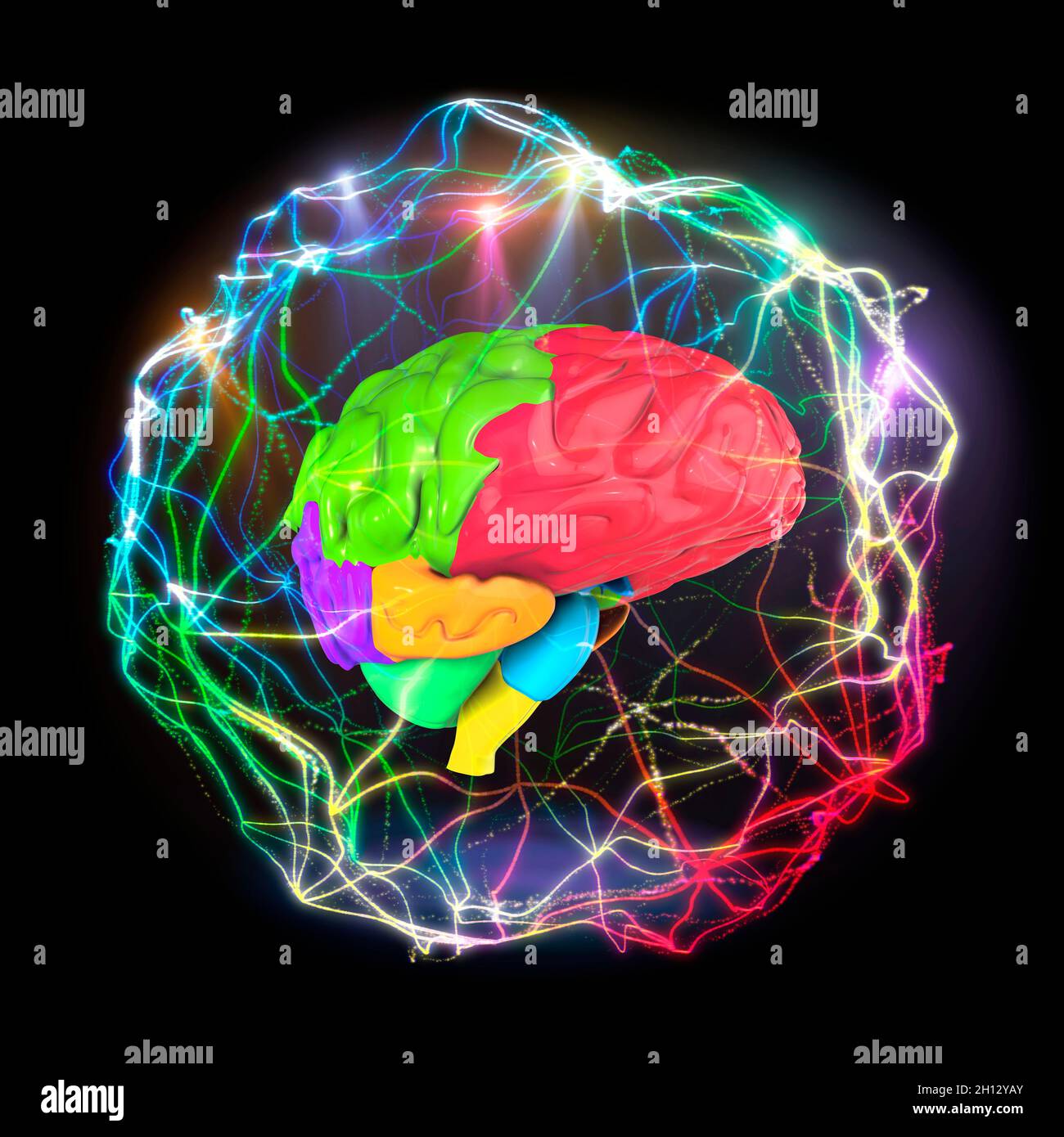 Human brain anatomy with energy field, 3D illustration Stock Photo - Alamy