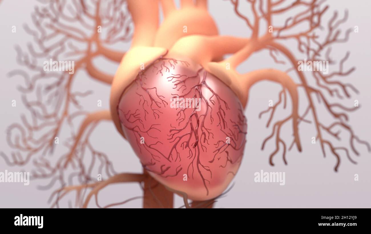 Grey human body hi-res stock photography and images - Alamy