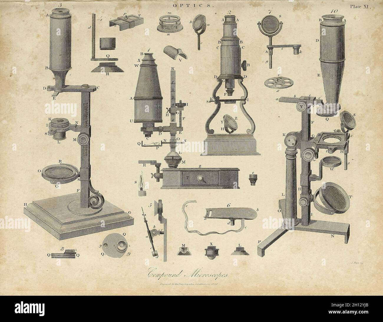 Vintage microscope drawing hi-res stock photography and images - Alamy