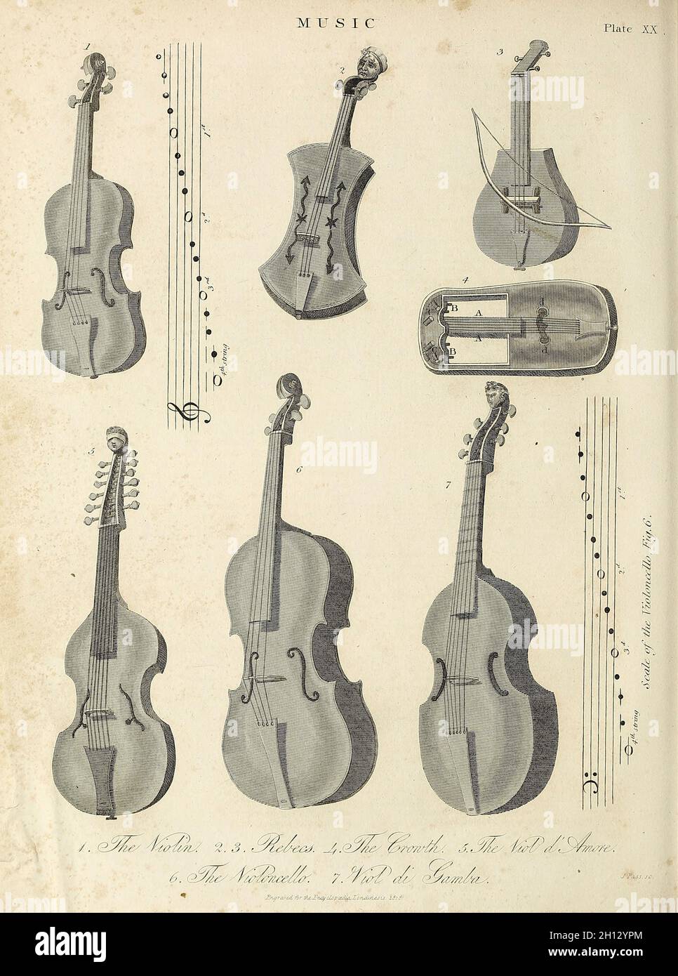 Viola and violin, 19th century illustration Stock Photo - Alamy