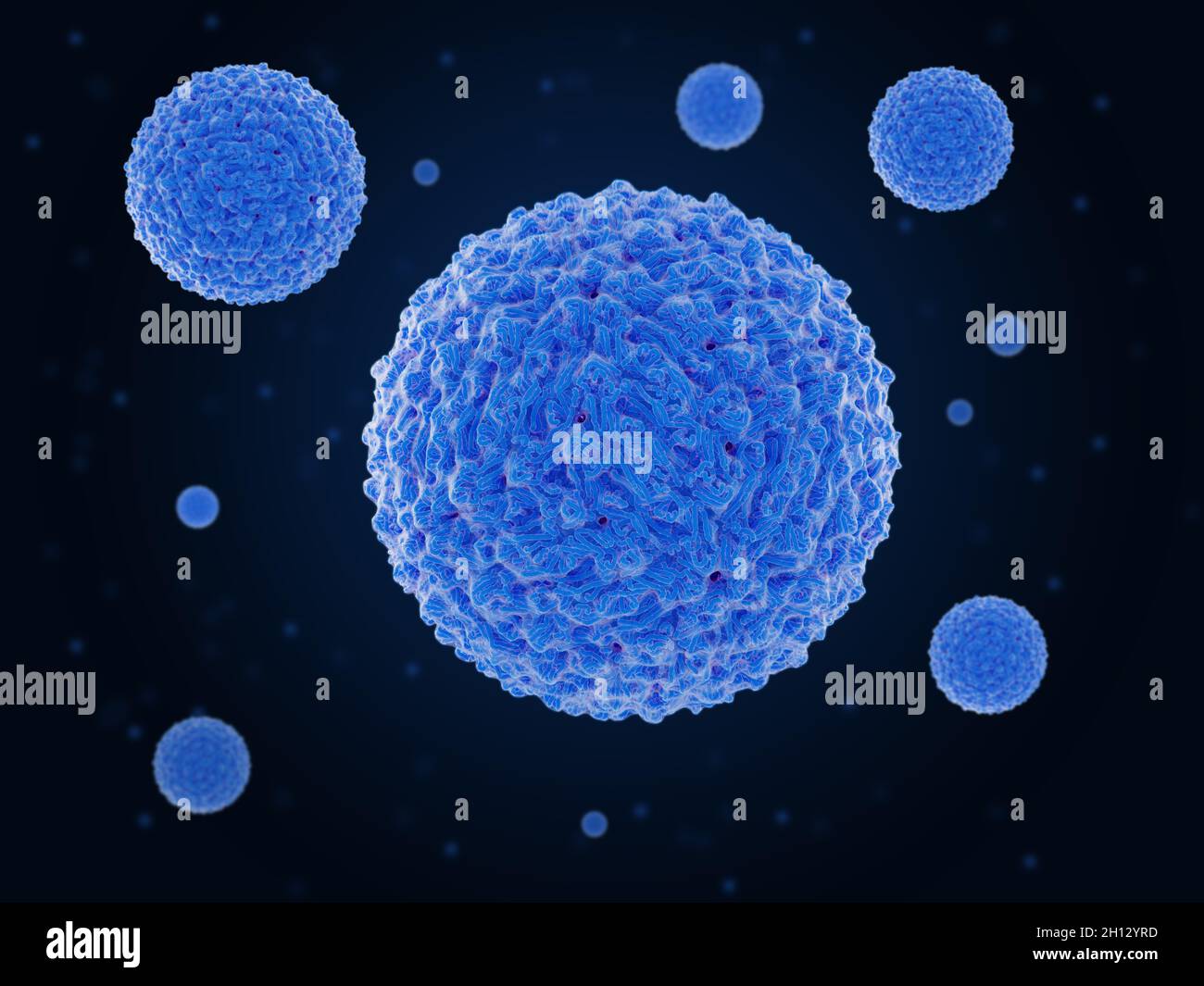 Dengue virus particles, illustration Stock Photo - Alamy