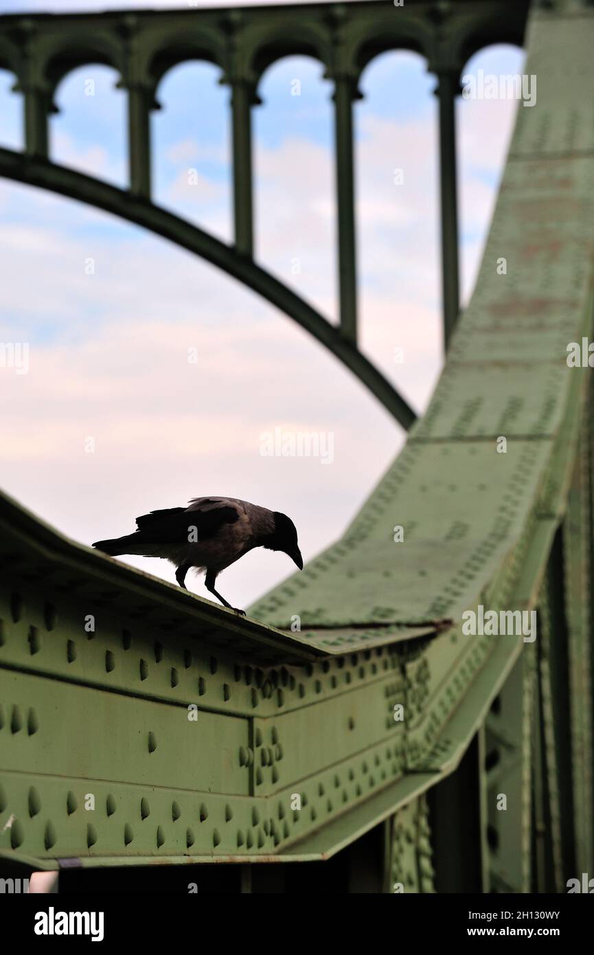 Potsdam,Glinicker Bridge,The bridge is a Cold War symbol; the border ...