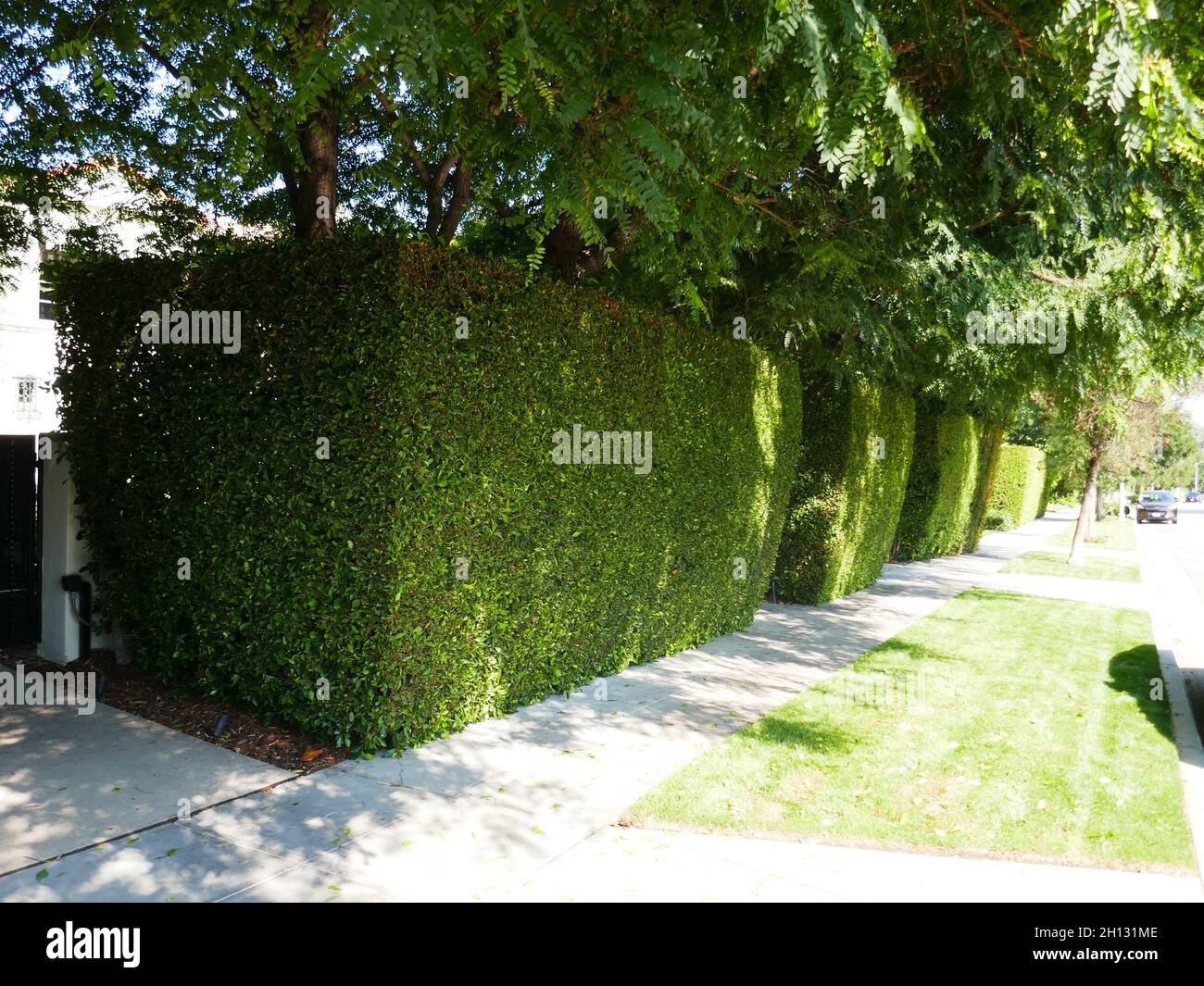 Beverly Hills, California, USA 8th September 2021 A general view of ...