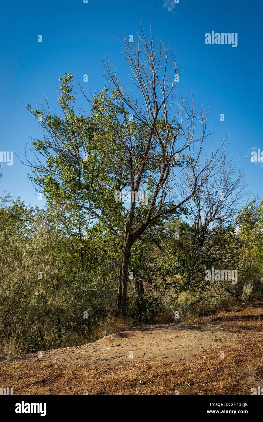 Baren ground hi-res stock photography and images - Alamy