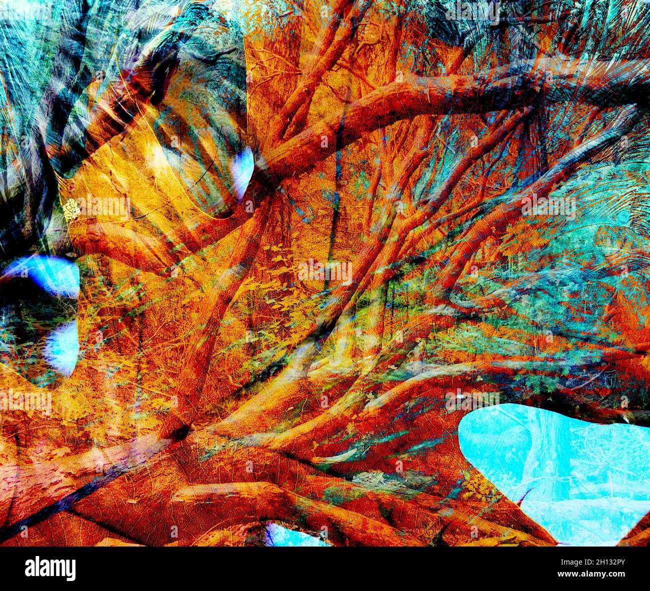 Stylish, abstract Digital Art of trees and leaves Stock Photo - Alamy