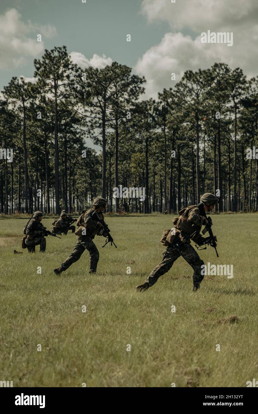 Buddy gray hi-res stock photography and images - Alamy