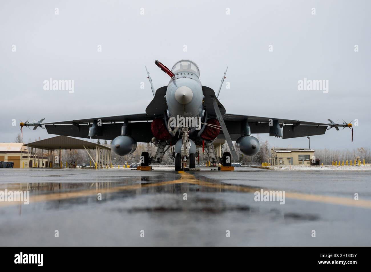 A Royal Canadian Air Force RCAF-188 Hornet stands at Joint Base ...