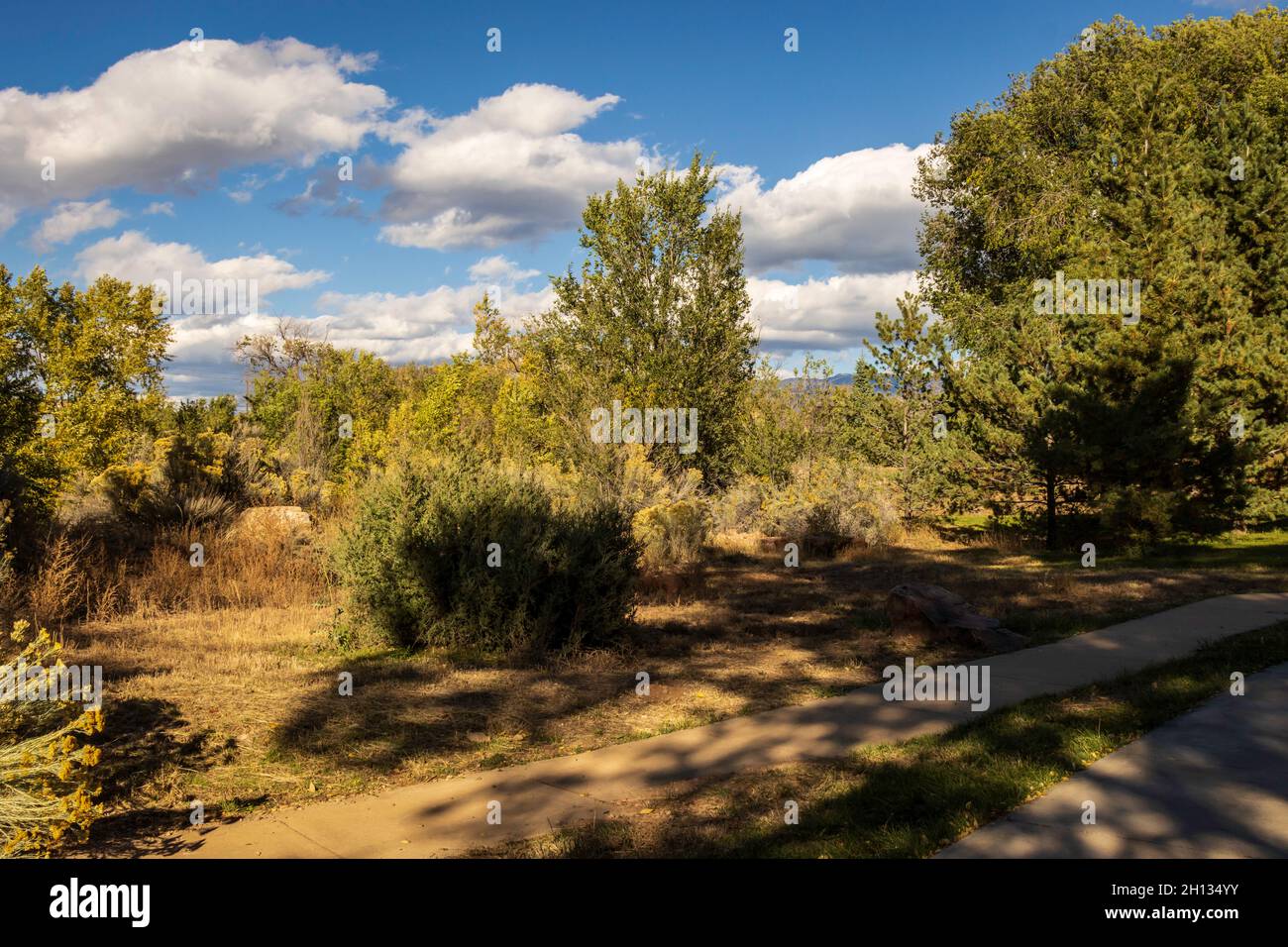 Autumn desert scenery with high contrast light and shadow Stock Photo ...