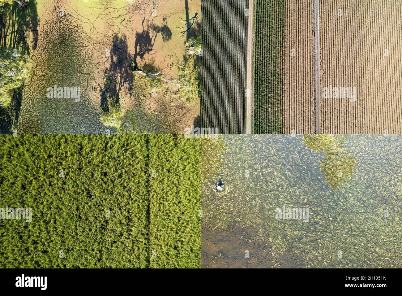 Four landscape aerial patterns looking down from a drone directly above ...