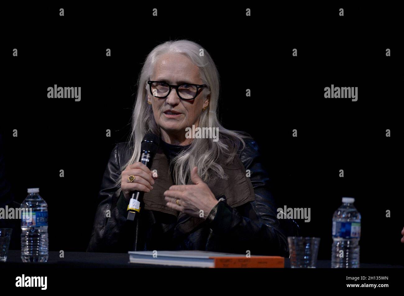New Zealand screenwriter, producer, and director Jane Campion holds a ...