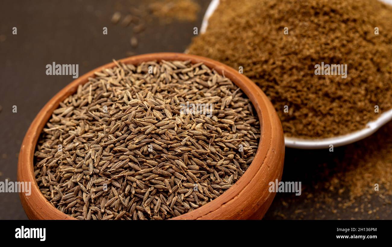Coriander seeds in a clay bawl, fresh coriander and powdered coriander ...