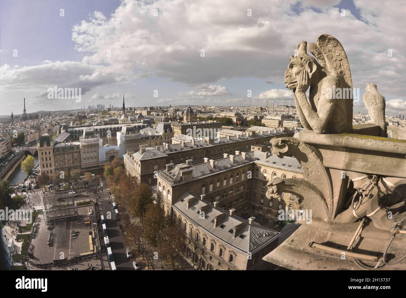 FRANCE. PARIS (75) NOTRE-DAME CATHEDRAL. AT THE HEIGHT OF THE GREAT ...