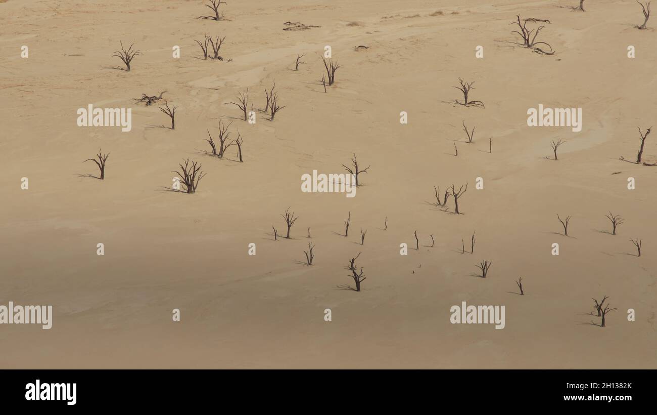 Namibian dessert hi-res stock photography and images - Alamy