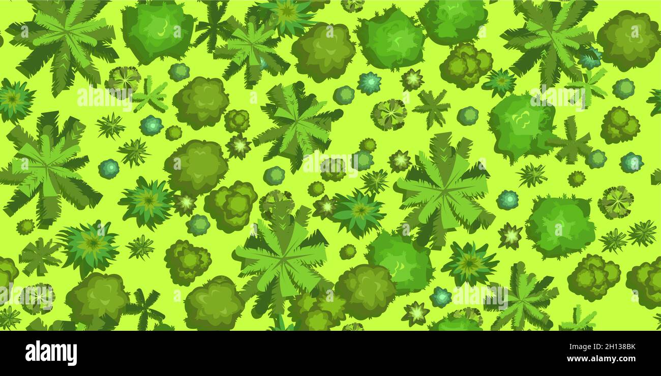 Top view of the landscape from a height. Green summer scenery with ...