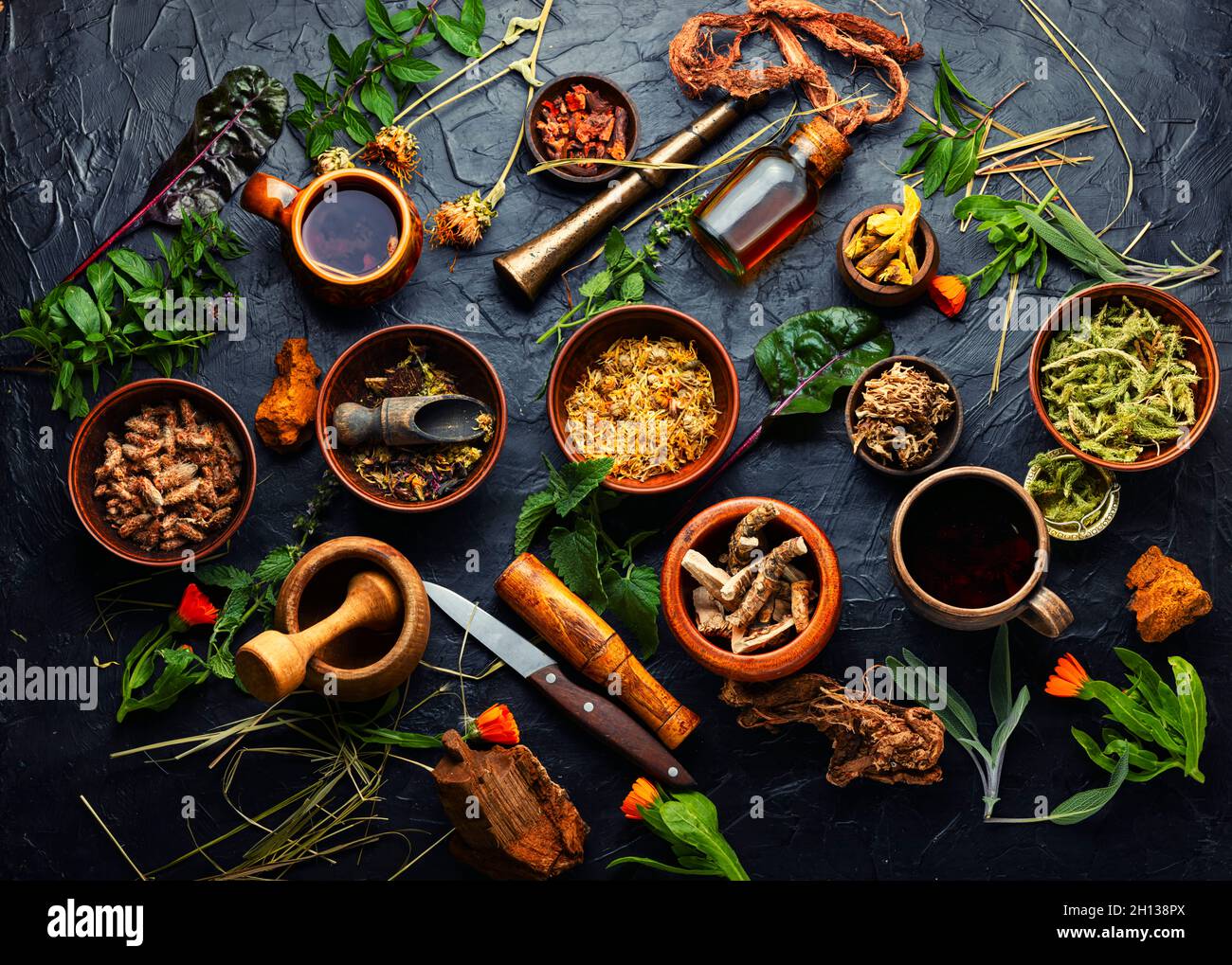 Medicinal herbs, plants and roots in alternative medicine.Herbal ...