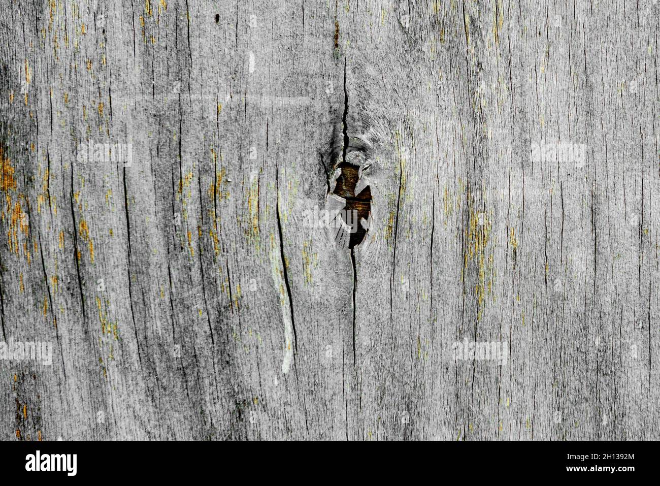 Texture, wood, wall, it can be used as a background. Wooden texture ...