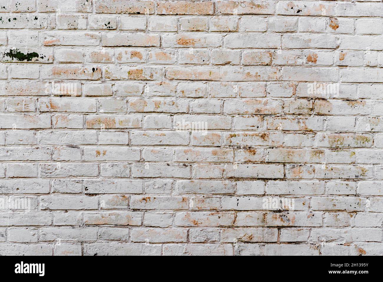 Texture, brick, wall, it can be used as a background. Brick texture ...