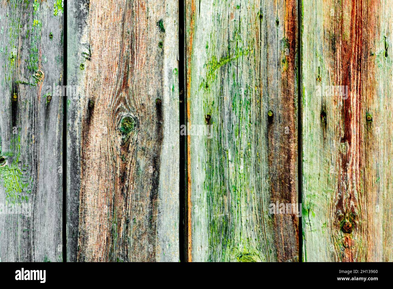 Texture, wood, wall, it can be used as a background. Wooden texture ...