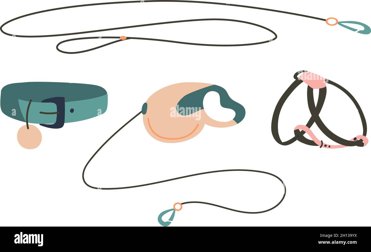Set of Leashs, harness and .collar for pet. Objects isolated on white ...