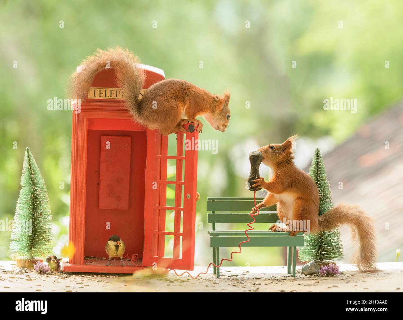 Phonecall holiday hi-res stock photography and images - Alamy