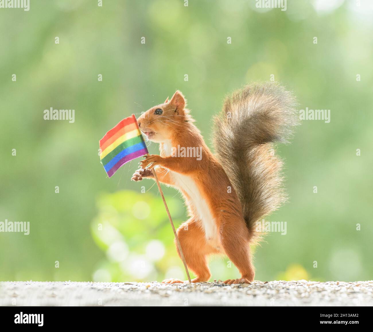 Female holding rainbow flag hi-res stock photography and images - Alamy
