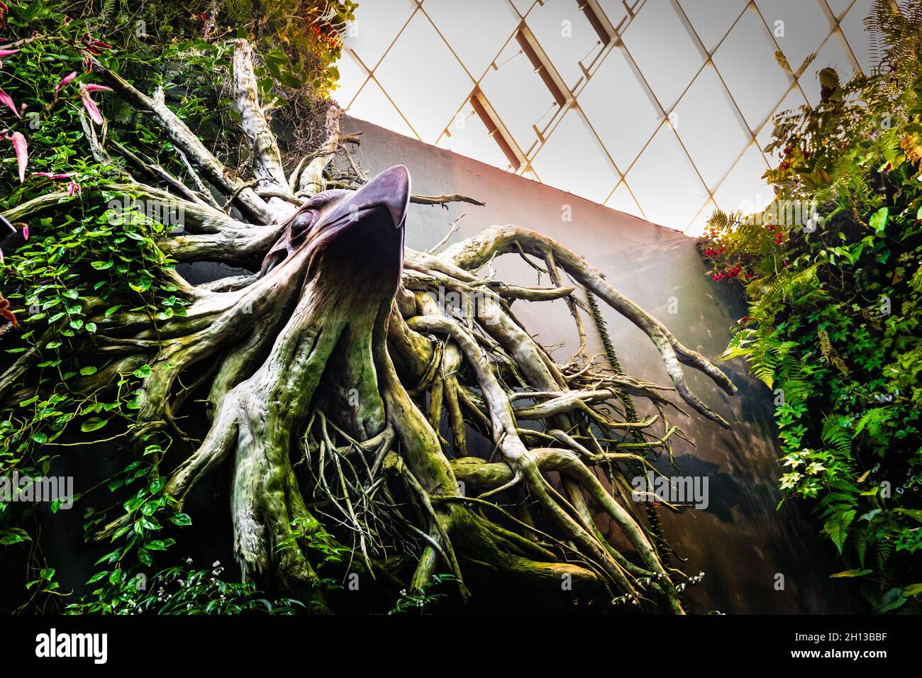 Amazing tropical forest, Clouds Forest, at Gardens by the bay, Marina ...