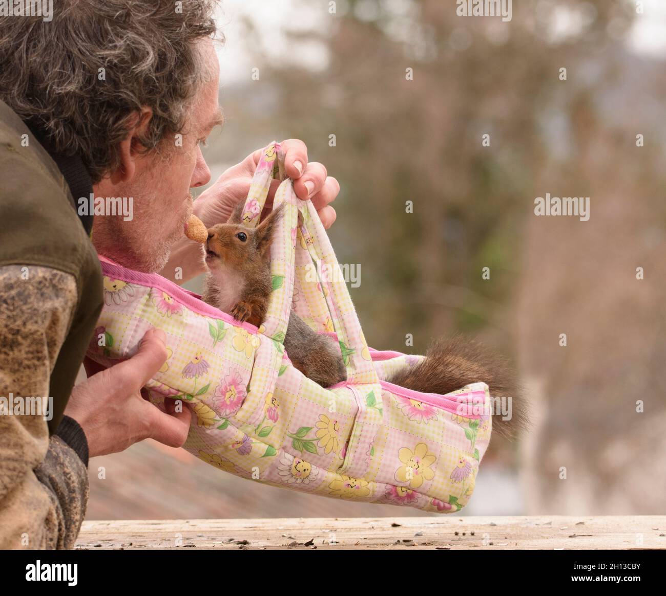 Red baby squirrel hi-res stock photography and images - Alamy