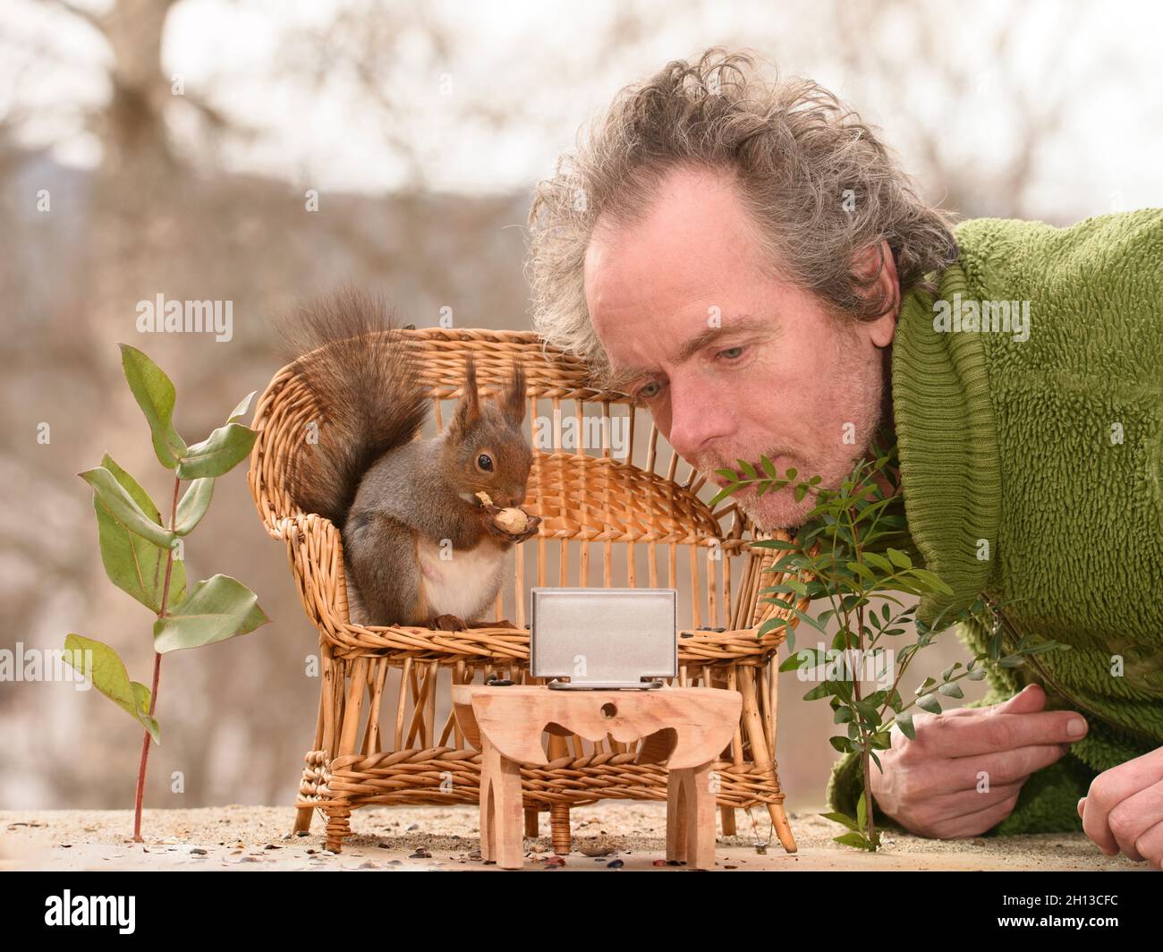 Man squirrel hi-res stock photography and images - Alamy