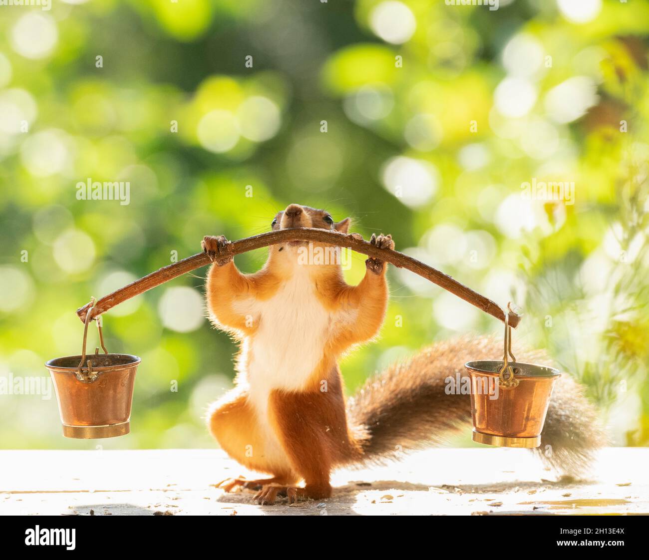 Water buckets hi-res stock photography and images - Alamy