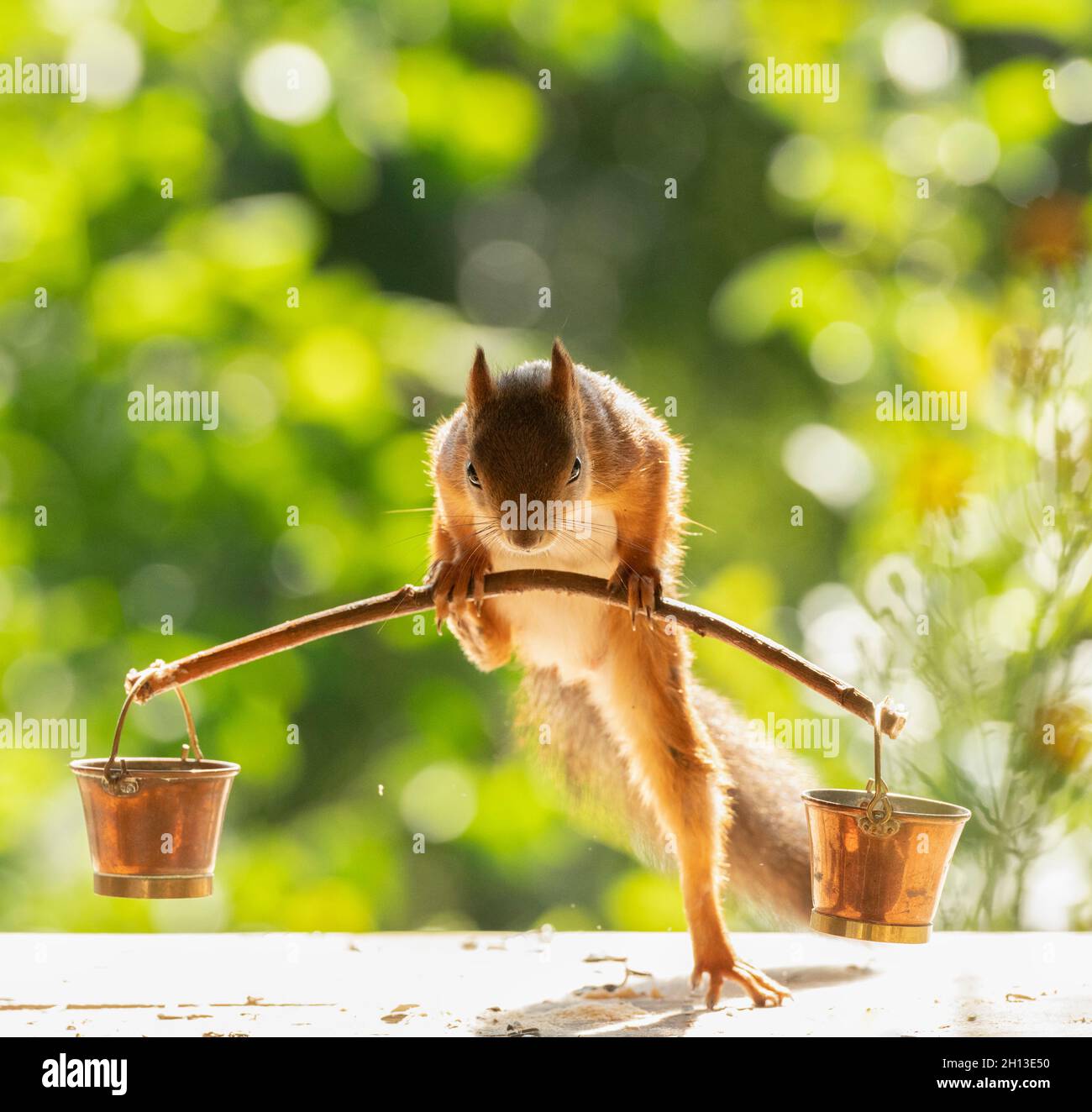 Water buckets hi-res stock photography and images - Alamy