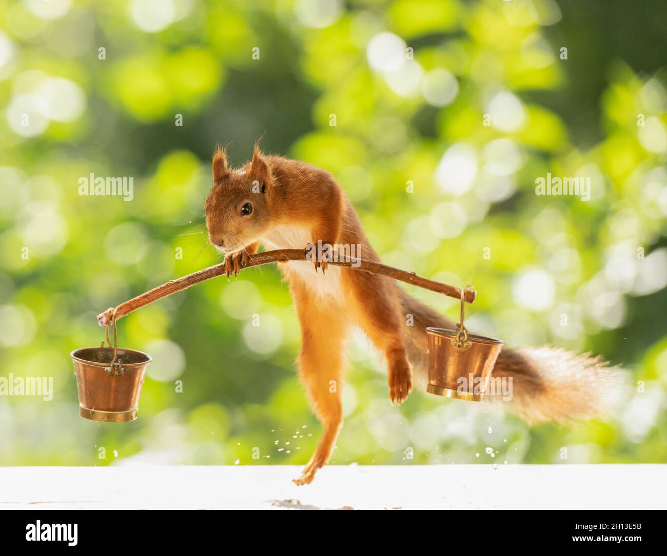 Water carrier with buckets hi-res stock photography and images - Alamy