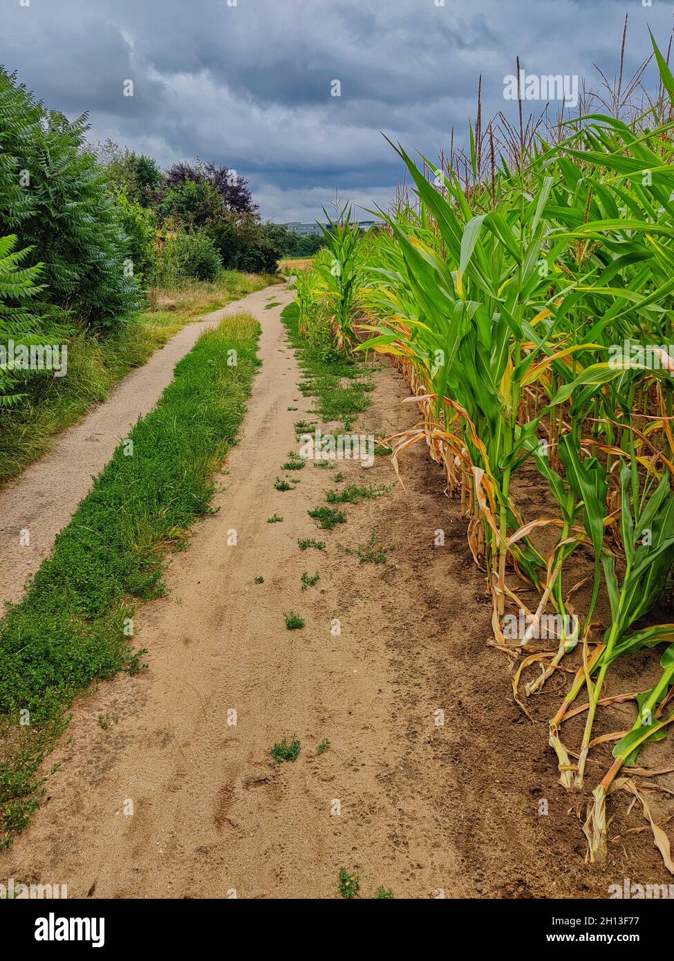 Beautiful scenery of a green field in the daylight under a cloudy sky ...
