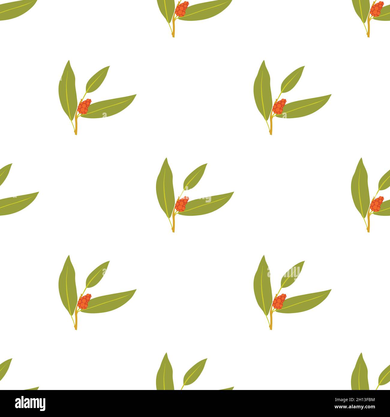 Juniper berry pattern seamless background texture repeat wallpaper ...