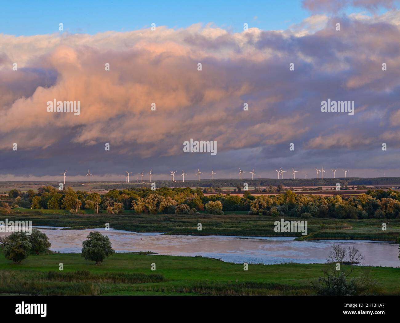 River oder in evening light oderbruch hi-res stock photography and ...