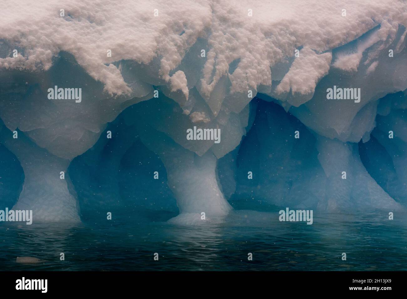 Detail of an iceberg, in Portal Point, Antarctica. Antarctica Stock ...