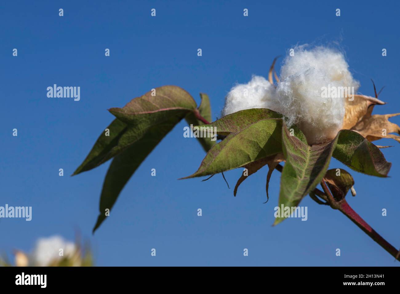 Field of boxes hi-res stock photography and images - Alamy