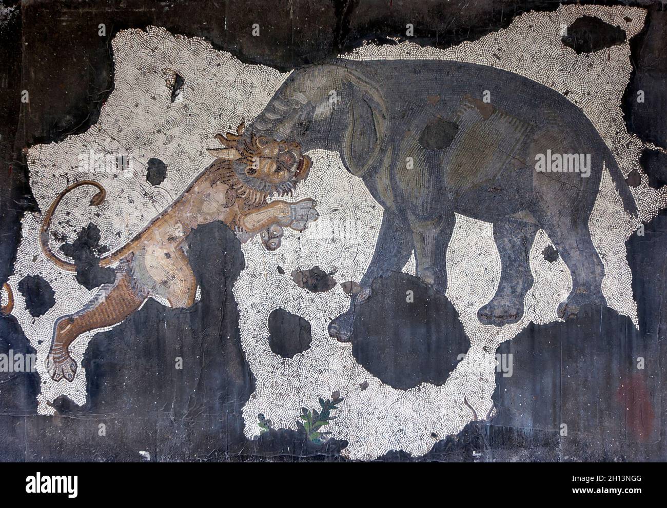 A Byzantine 5th century mosaic from the Great Palace Mosaic at the ...