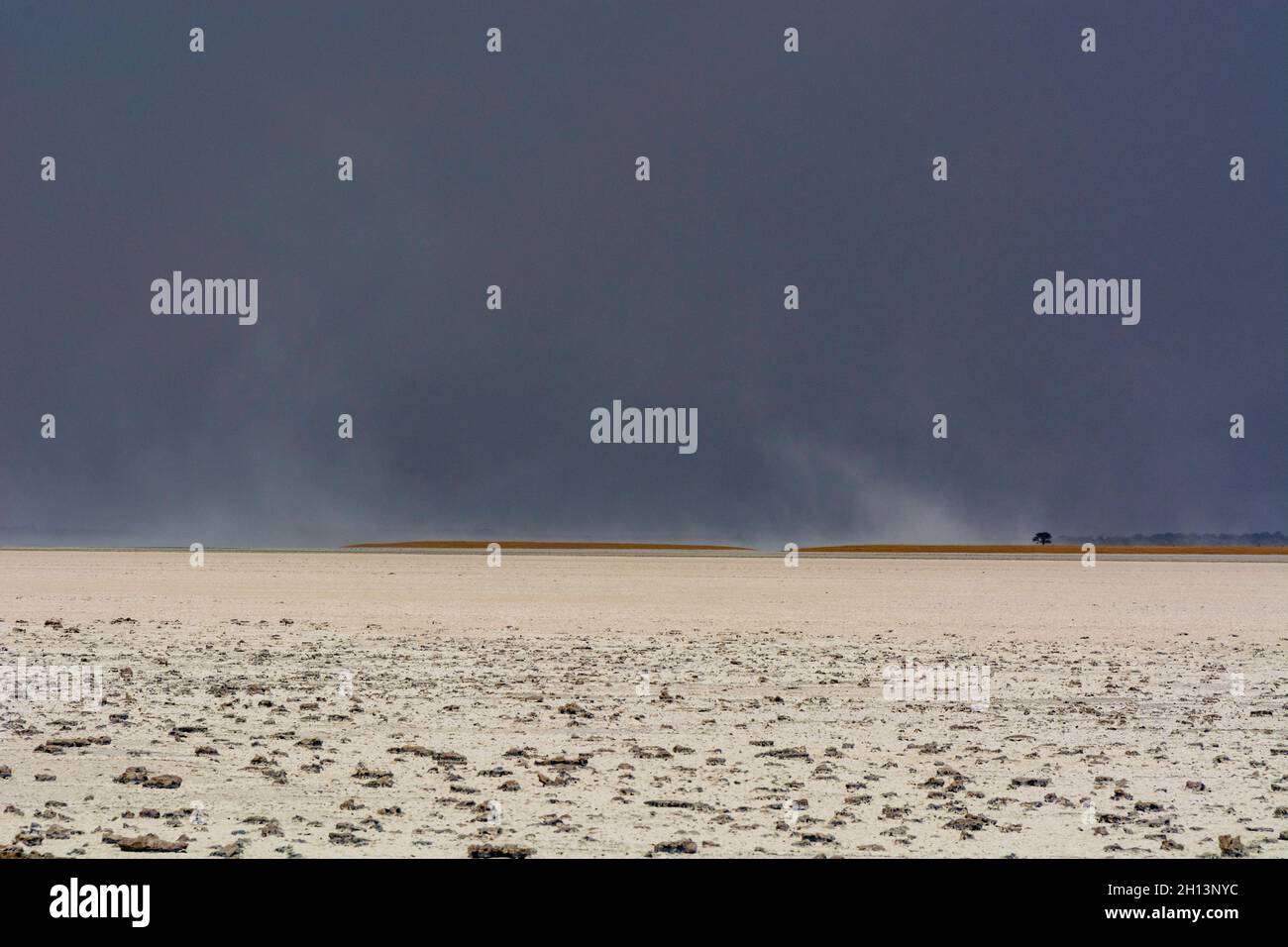 A storm approaching the salt pan. Nxai Pan, Botswana Stock Photo - Alamy