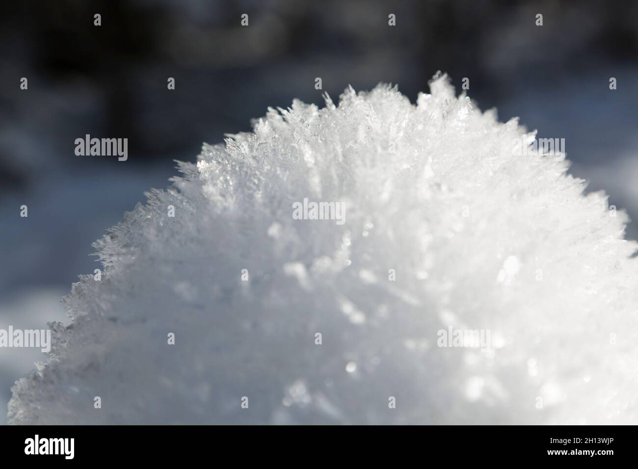 Ice flowers hi-res stock photography and images - Alamy
