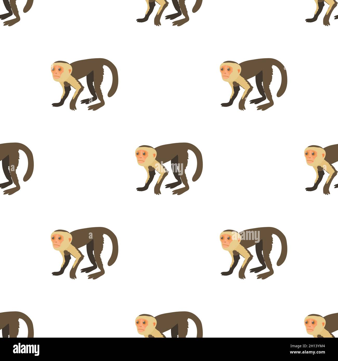 Capuchin pattern seamless background texture repeat wallpaper geometric ...