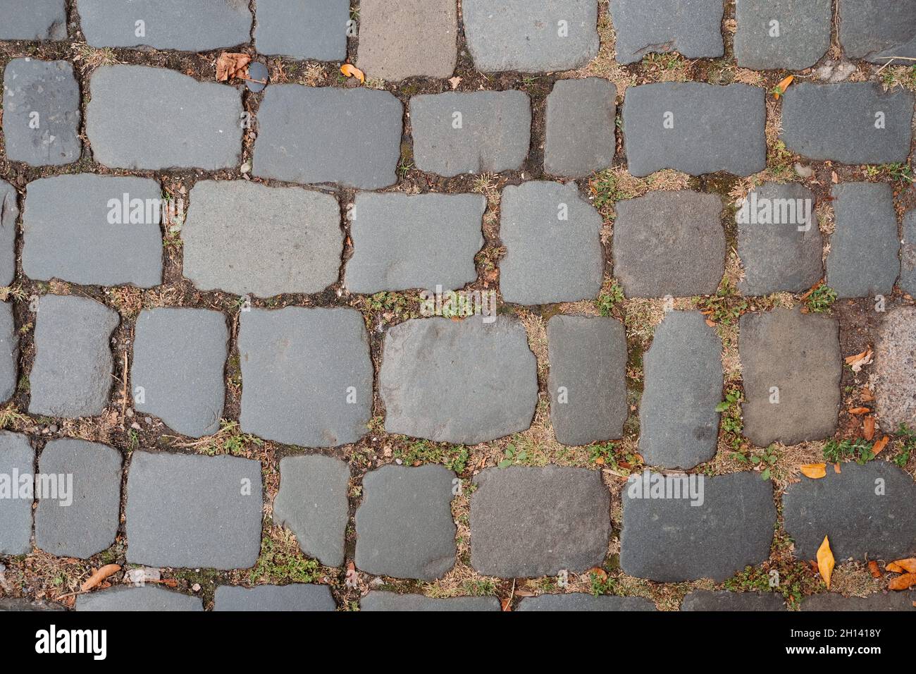 Large smooth old european Cobble stone pavement background Stock Photo ...