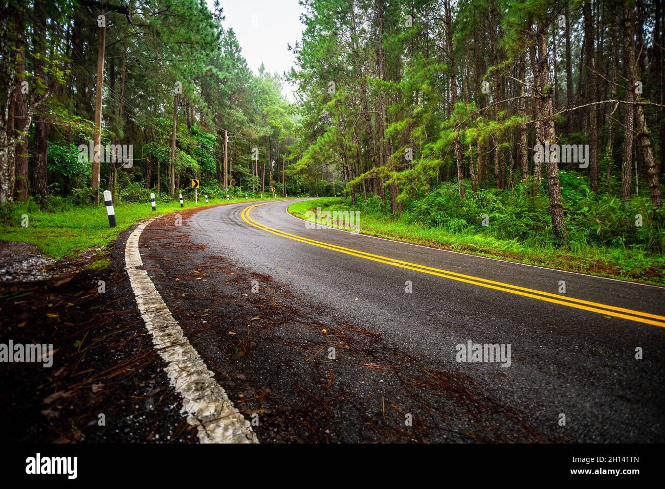 Riany hi-res stock photography and images - Alamy