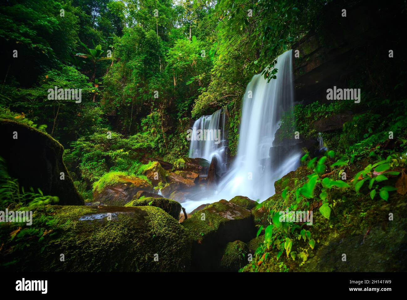 beautiful tropical rainforest waterfall in deep forest Stock Photo - Alamy