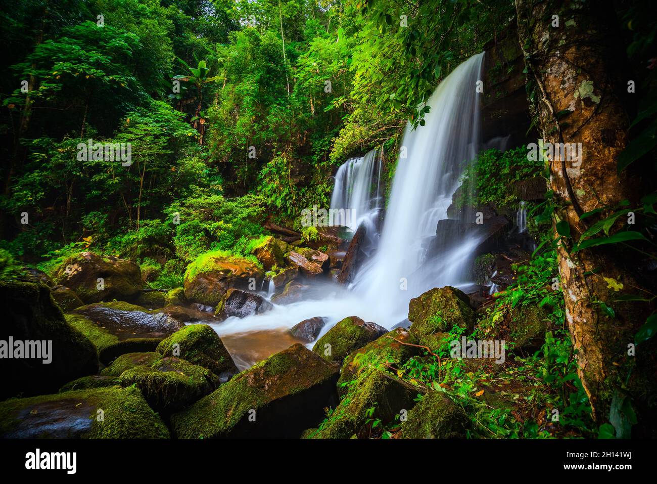 Tropical rainforest waterfall hi-res stock photography and images - Alamy