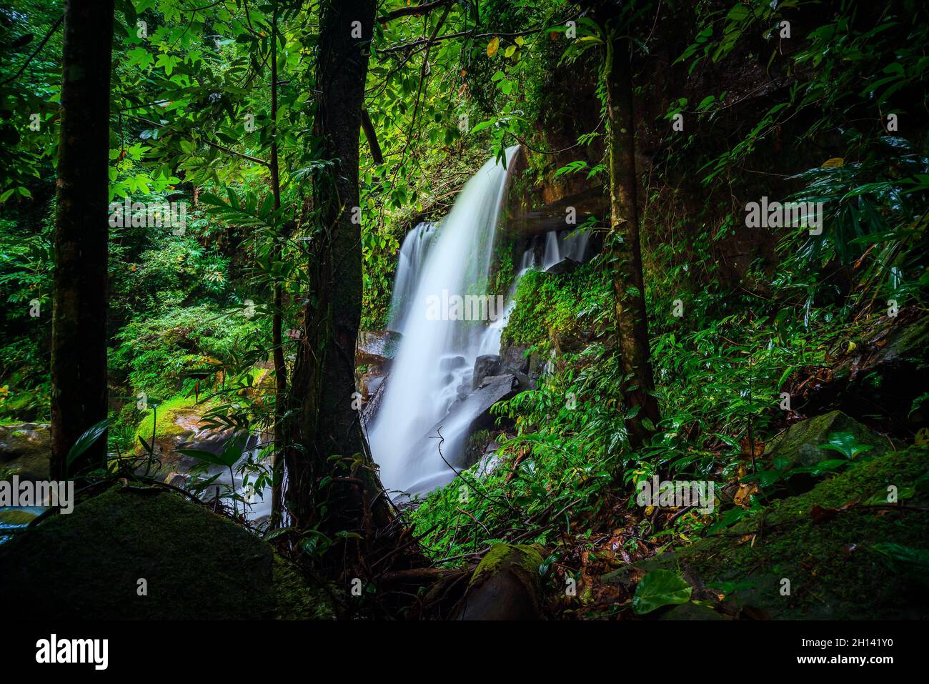 Tropical rainforest waterfall hi-res stock photography and images - Alamy