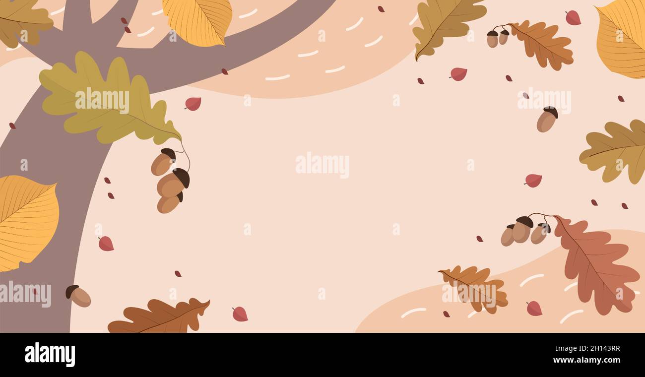 Abstract autumn web background template with many different leaves ...