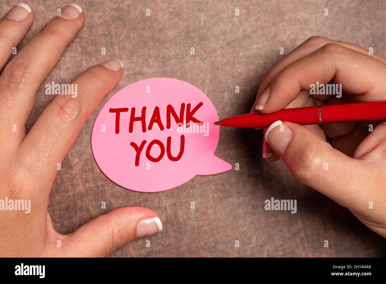 Handwriting text Thank You. Business overview polite expression used ...