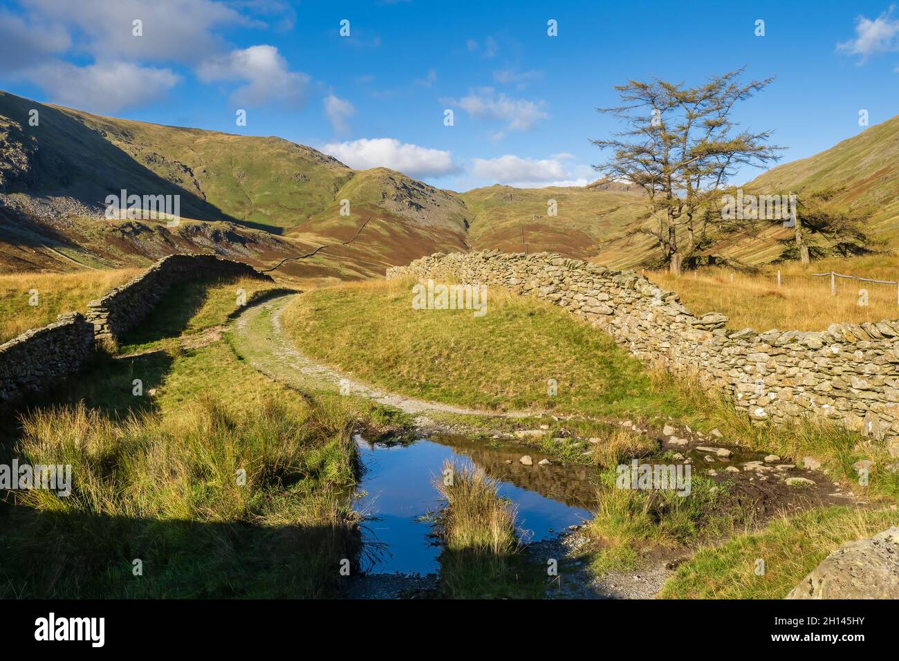 Walking High Pike, a fell in the English Lake District, located five ...