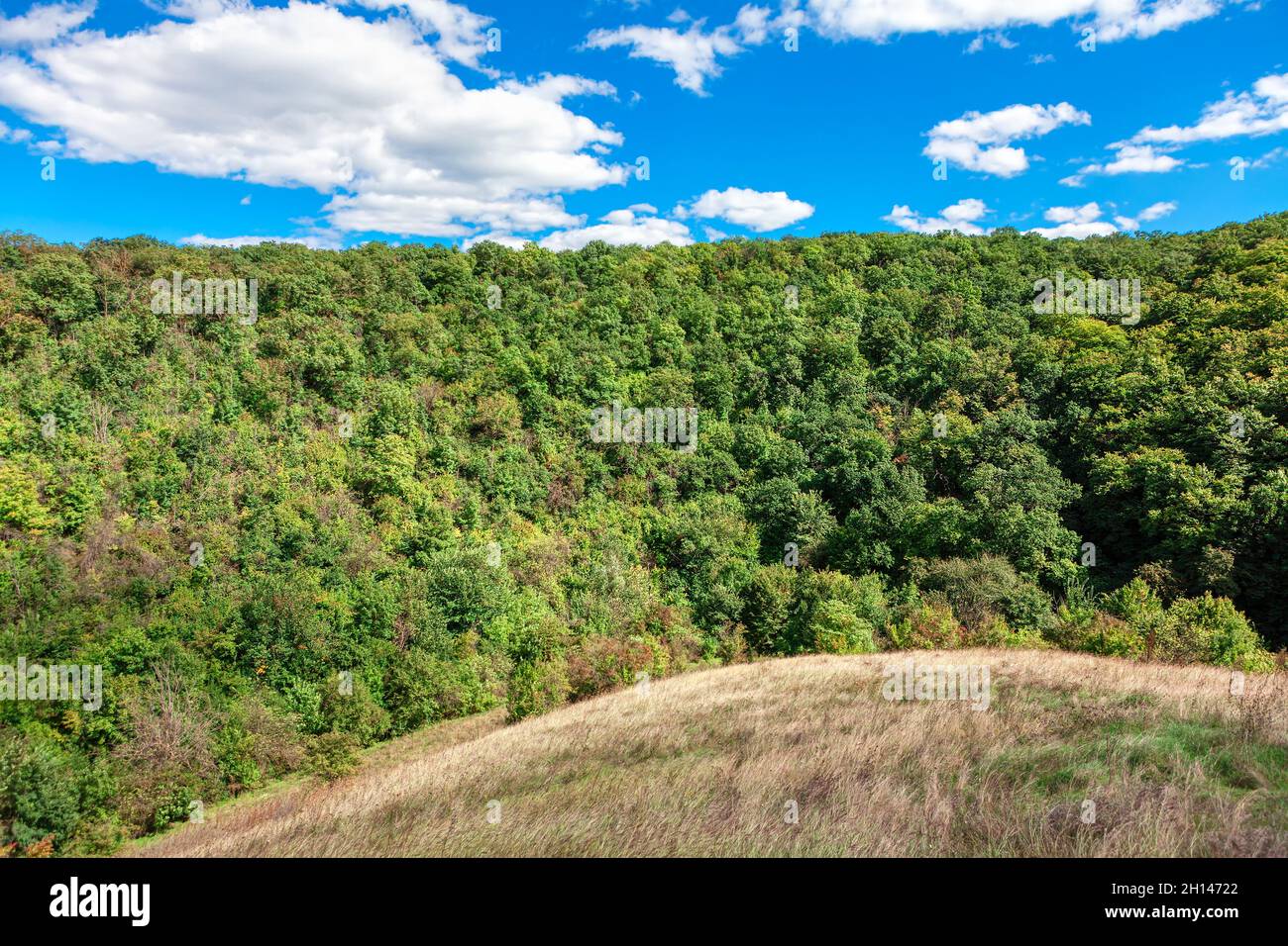 Bright light above treetops hi-res stock photography and images - Alamy